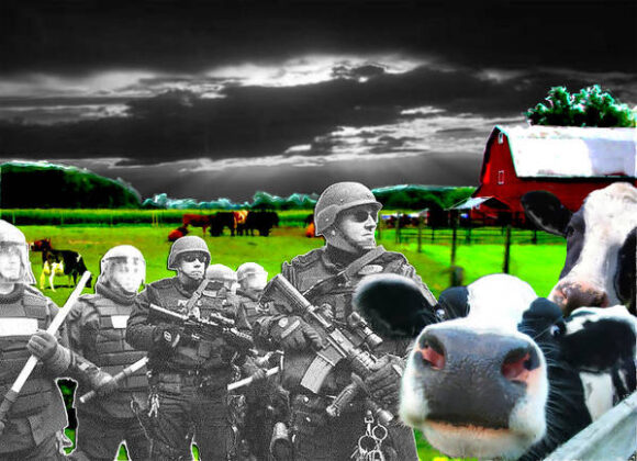 A proibição do leite cru é ignorante e perigosa - Instituto Rothbard Brasil